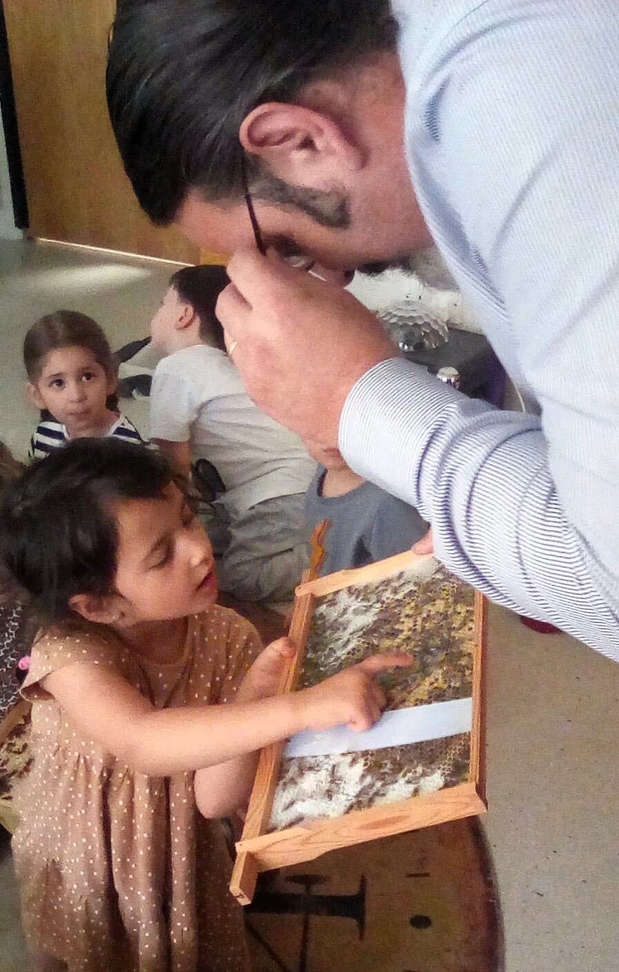 Learning about Bees - Bright Beginnings Childcare Centre